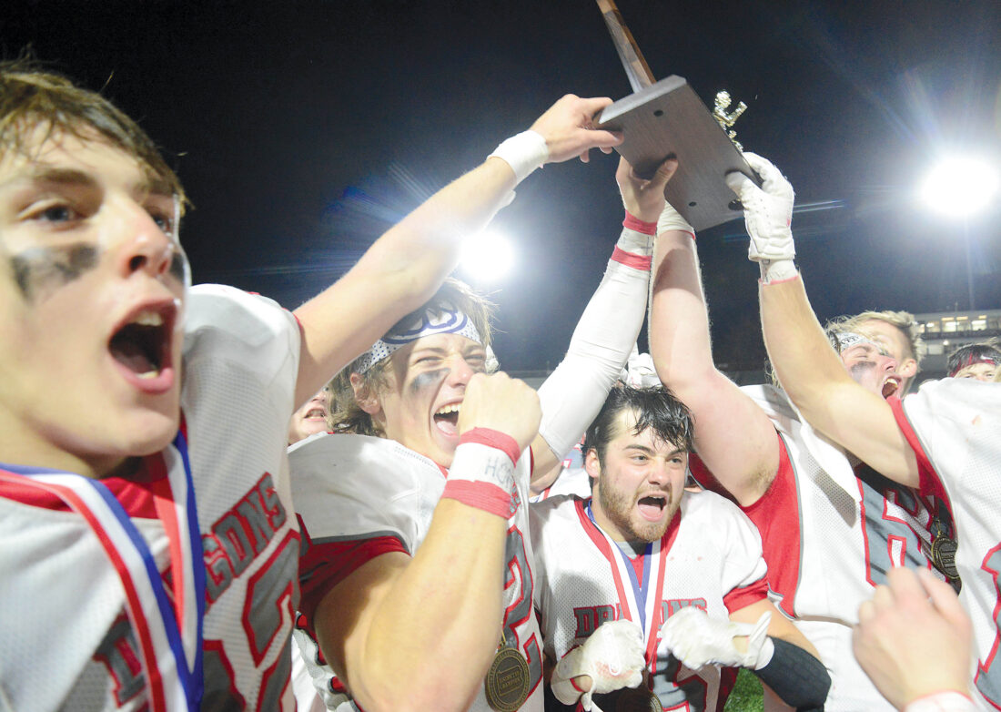 Dragons topple Panthers for another D6 title | News, Sports, Jobs ...